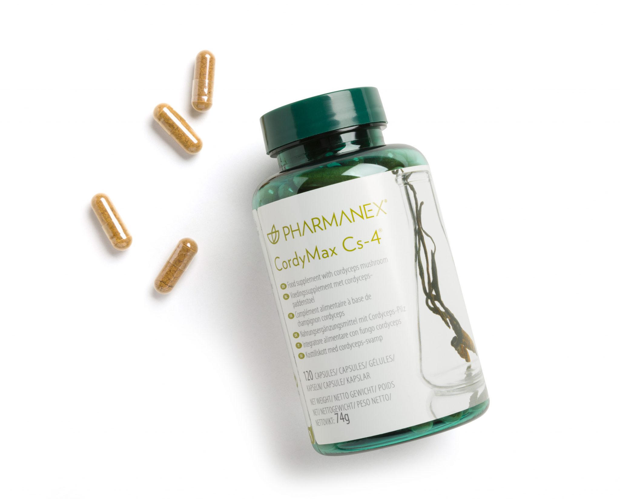 CordyMax Cs-4 – The Beauty Guide